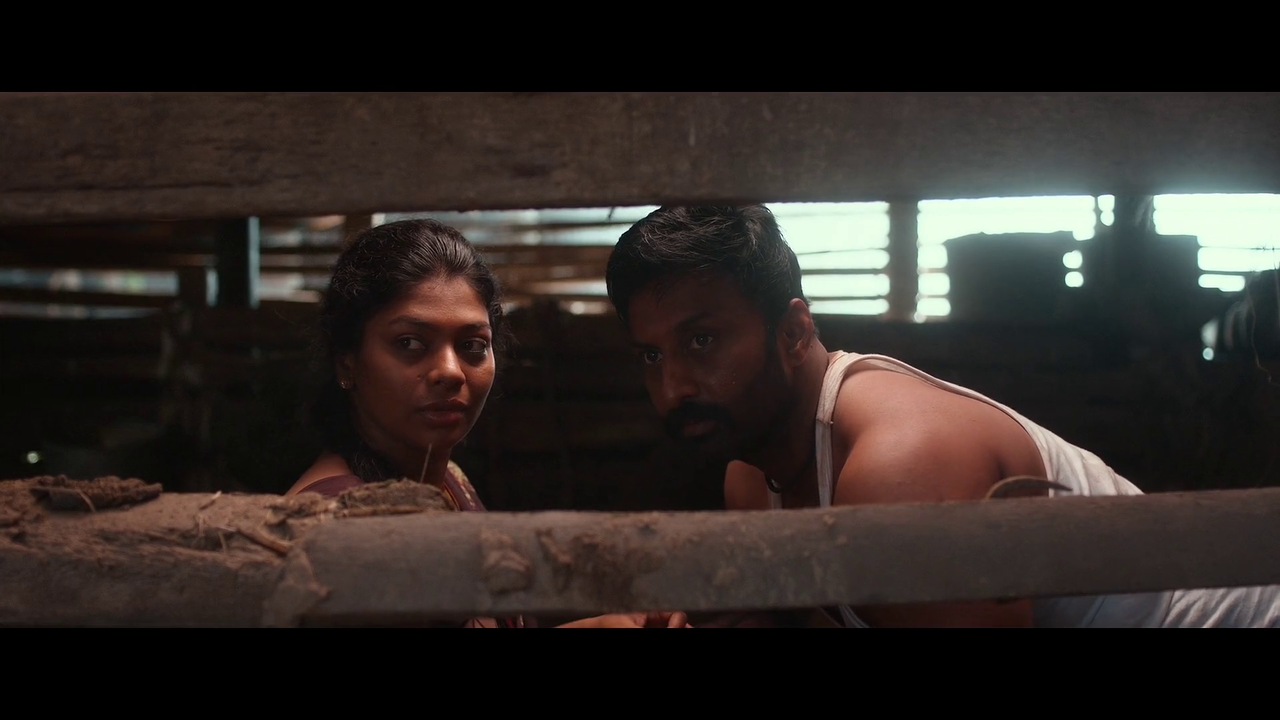 vlcsnap 2023 12 26 14h05m14s926 — Postimages