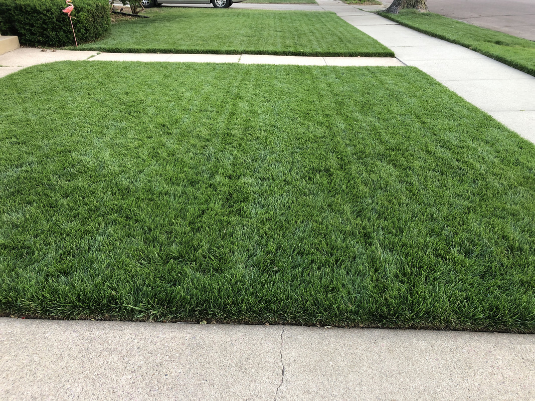 IMG 9172 — Postimages