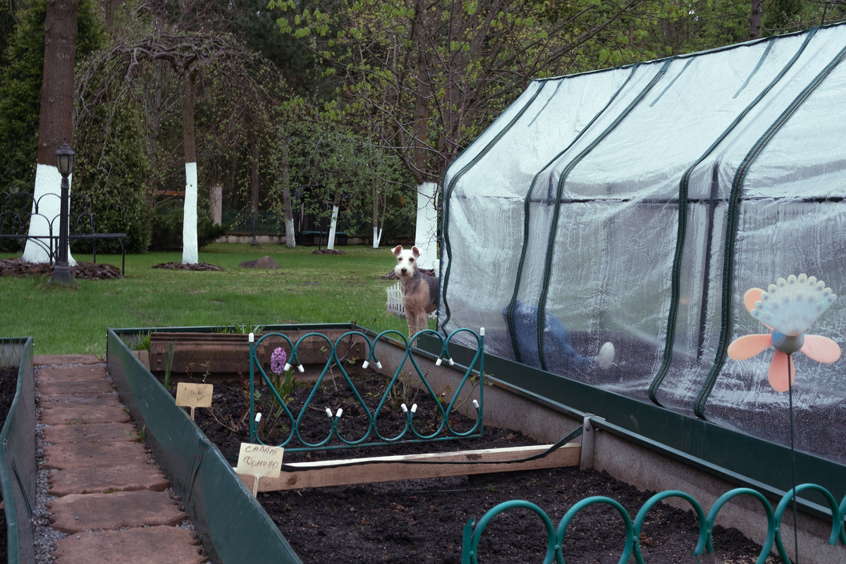 DSCF8872 Edit — Postimages