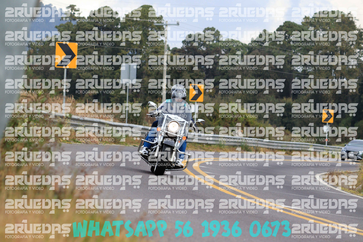 MG 0447 — Postimages