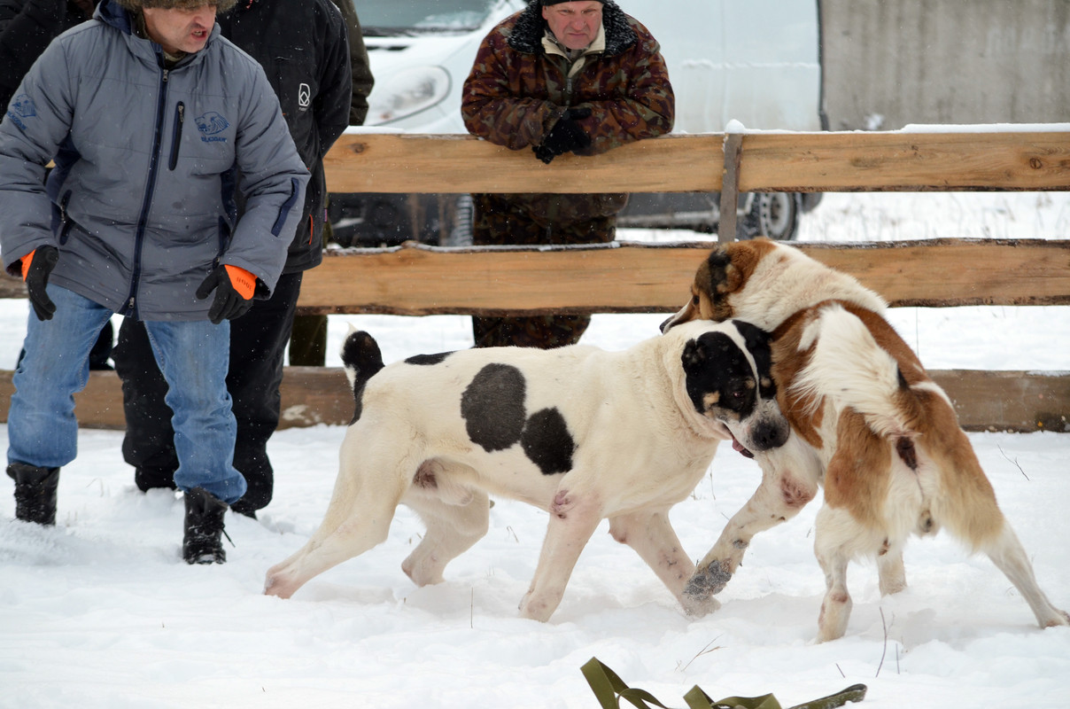 DSC 0179 — Postimages