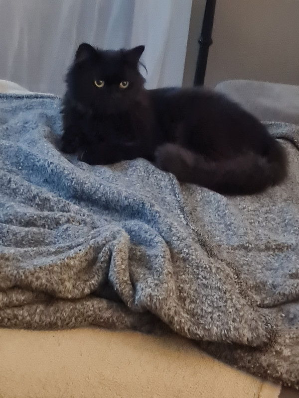 20240718 221054 — Postimages