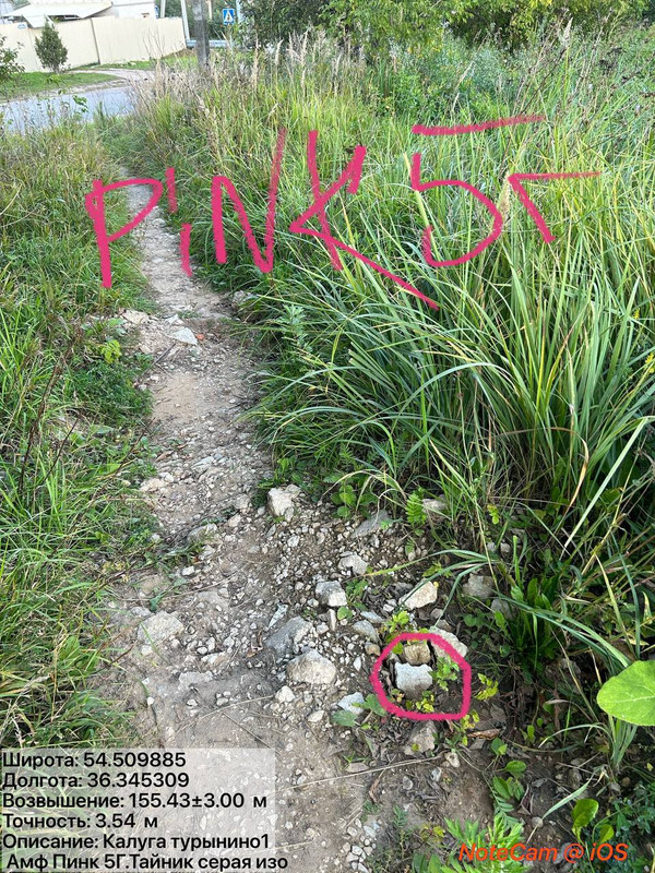 IMG 20230912 235017 651 — Postimages