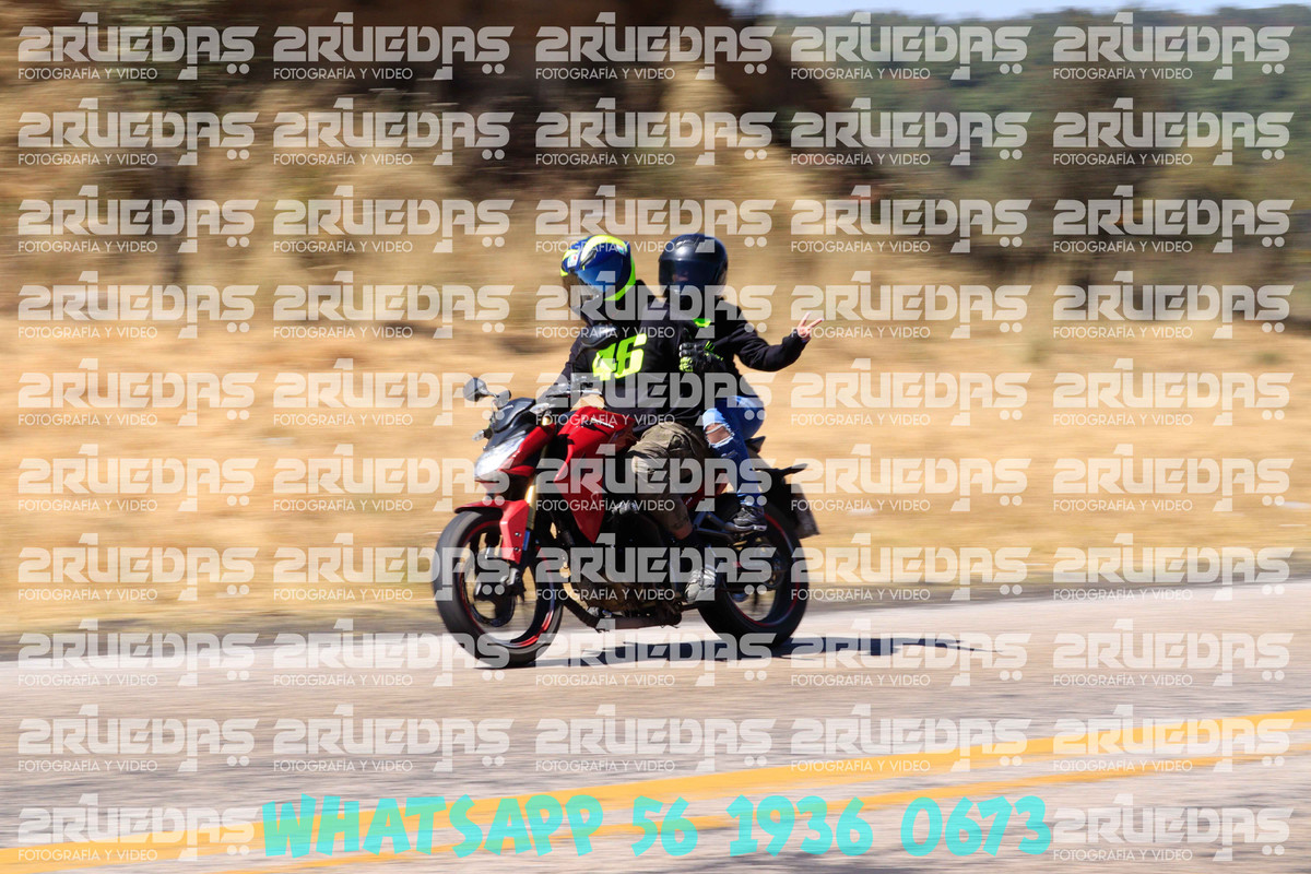 MG 1262 — Postimages