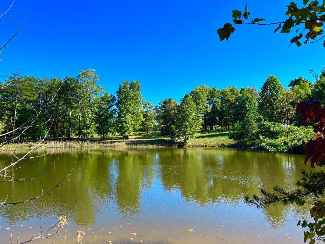 thumbnail (50) — Postimages