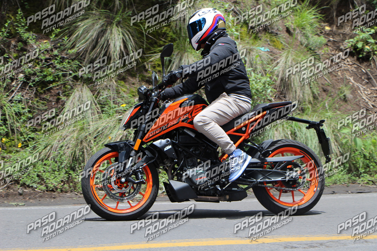 IMG 2220 wm 964872 0999999996 watermarked — Postimages