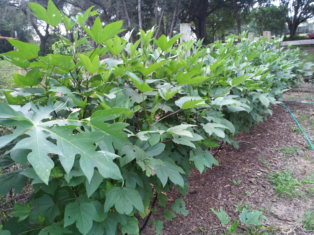 20130907 190837 resized — Postimages