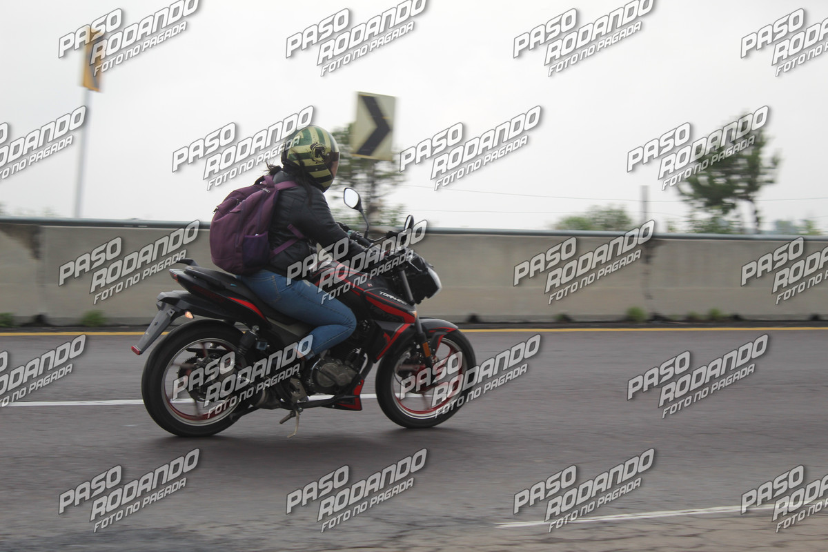 IMG 9030 wm 1921323 2999999998 watermarked — Postimages