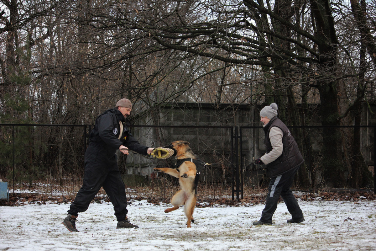 IMG 8985 — Postimages