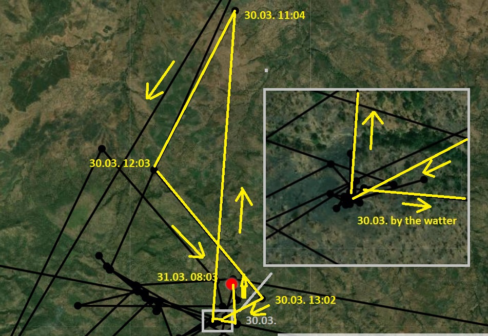 Black Stork Tracks - Page 611 - Looduskalender
