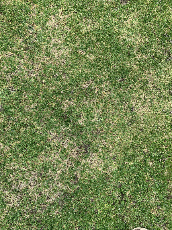 F138 A134 3 C22 4815 B191 CA183 FD694 F2 — Postimages