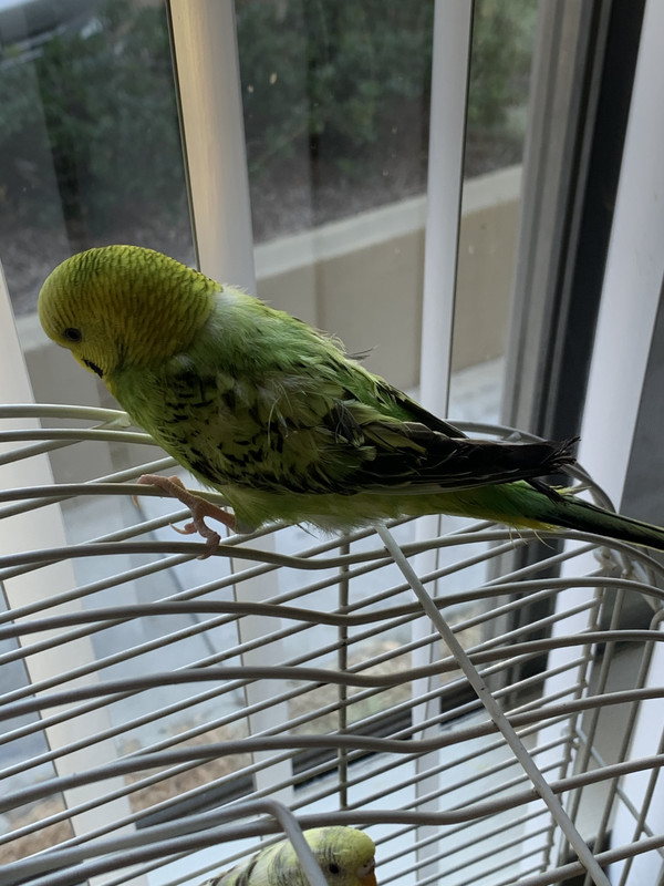 IMG 1657 — Postimages