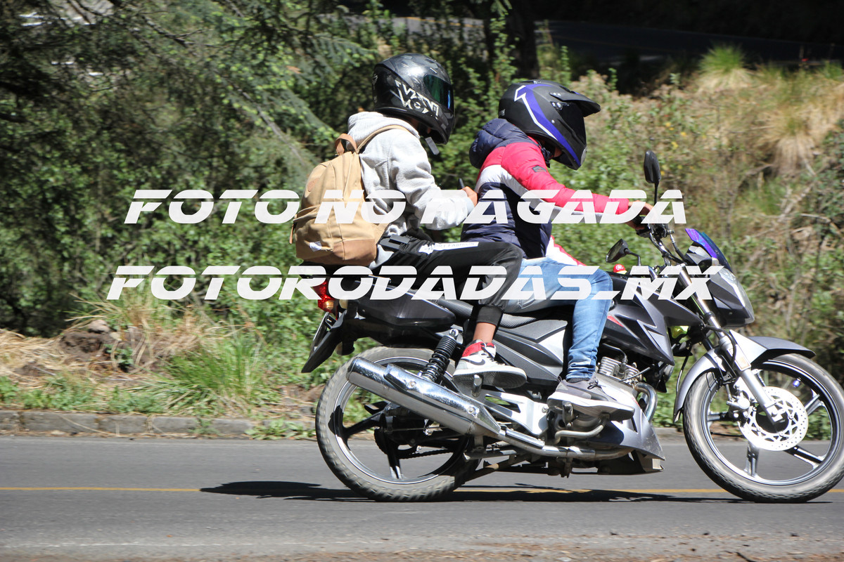 IMG 8060 — Postimages