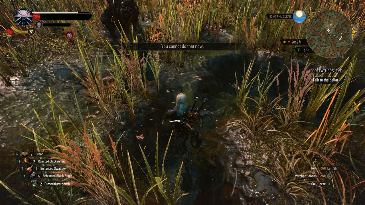 Witcher 3 Bugs/Glitches — Postimages