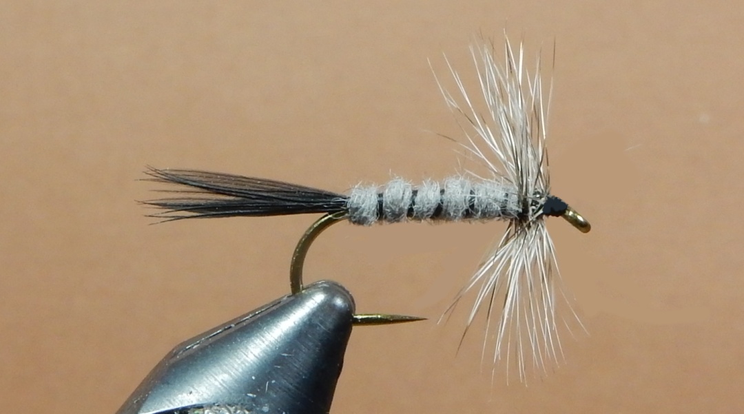 Gray Hackles - Fly Tying - Maine Fly Fish