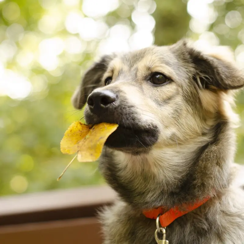 Imxf8 Dl WJKE — Postimages