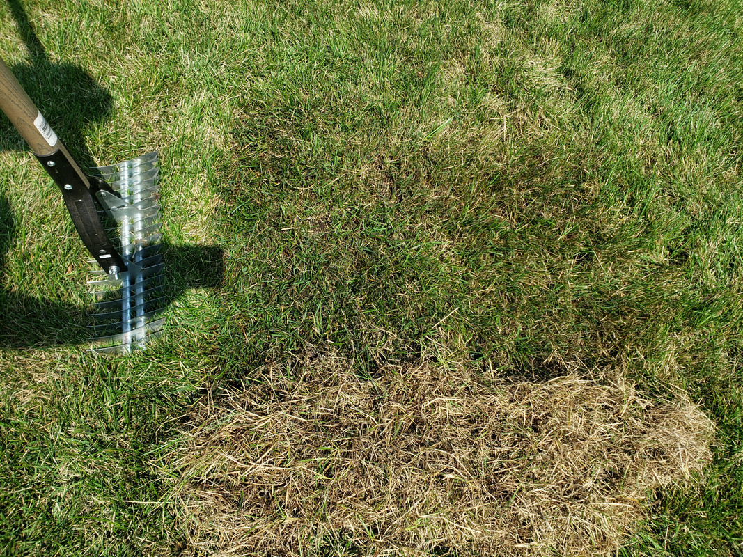 Lawn litter / debris removal | Lawn Care Forum