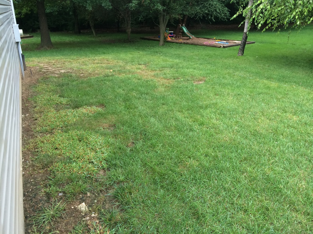 IMG 2176 — Postimages