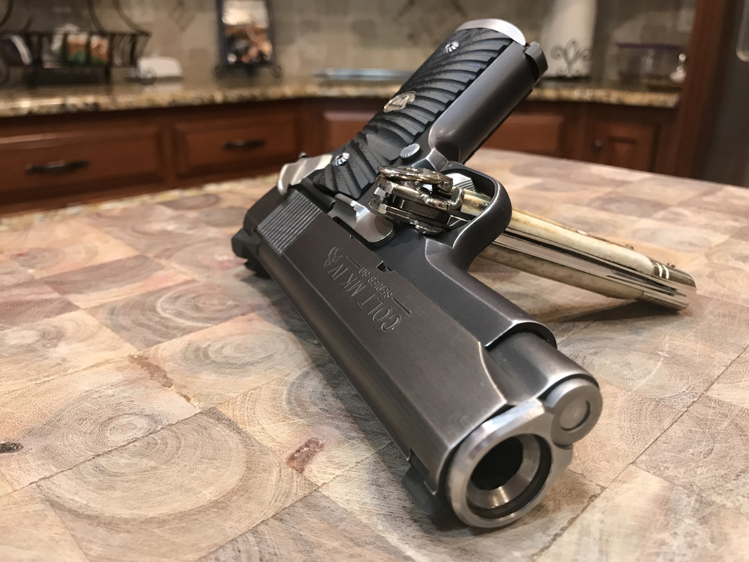 Guide Plug Launched..(Found it) | 1911Forum