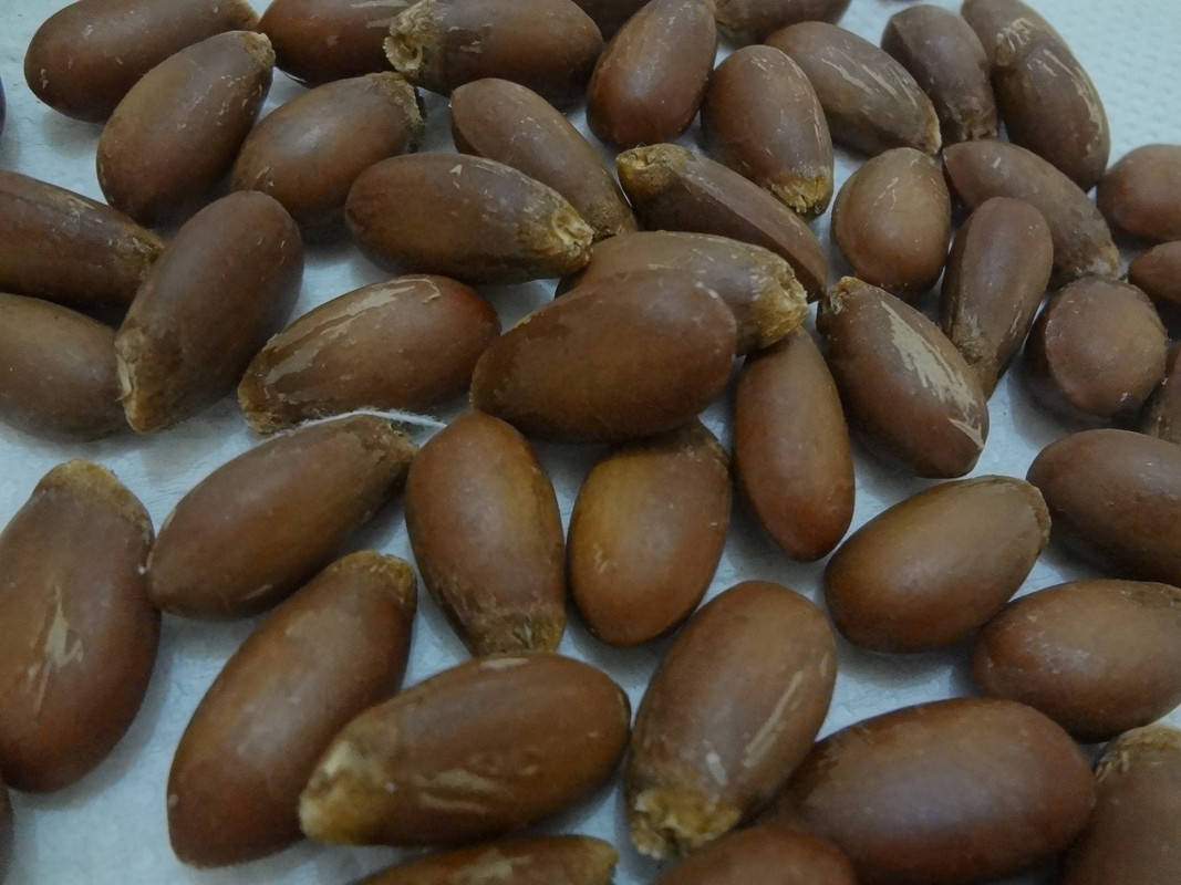 DSC04224 — Postimages