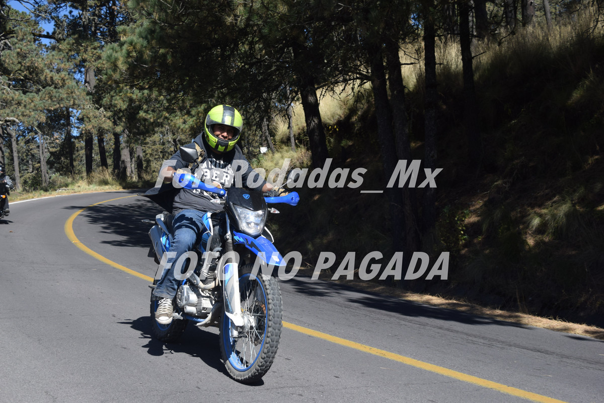 DSC 0695 — Postimages