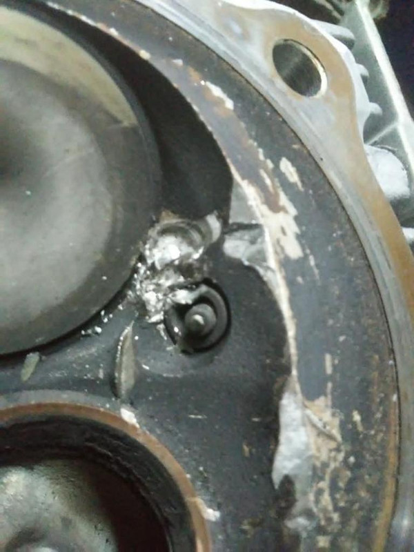 55835970 10216685628070344 6223247031666737152 n — Postimages