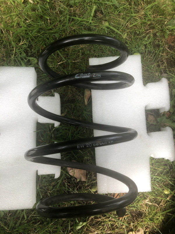 E46 M3 Front Eibach Lowering Springs | The M3cutters