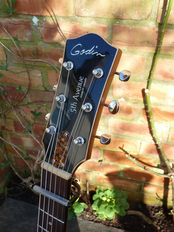 NUDG - Godin 5th Avenue Acoustic - The Acoustic Guitar Forum