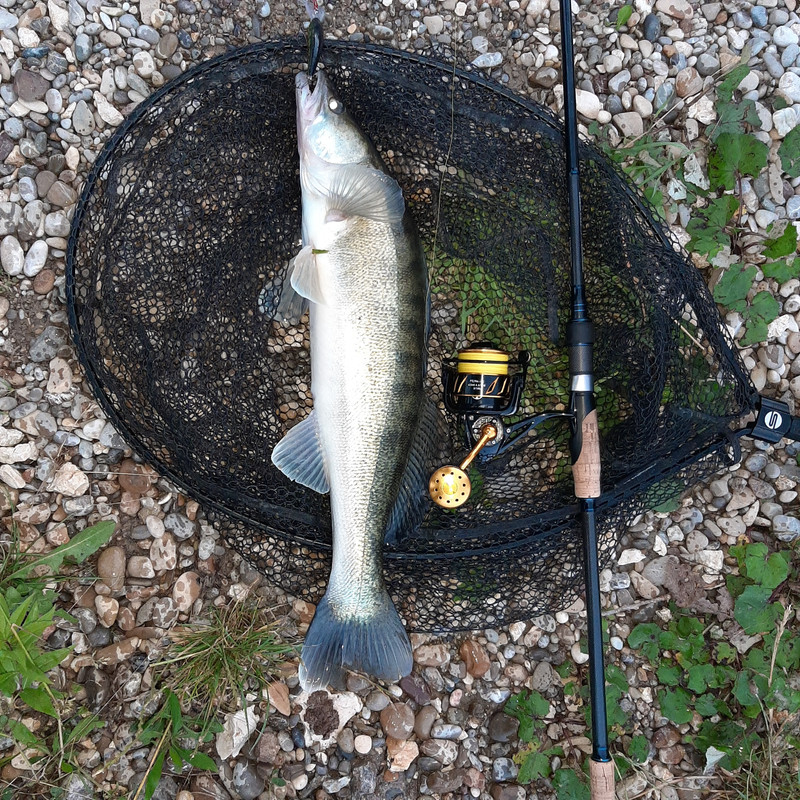 SMUDJ 2021 - Strana 4 - Varaličar.com