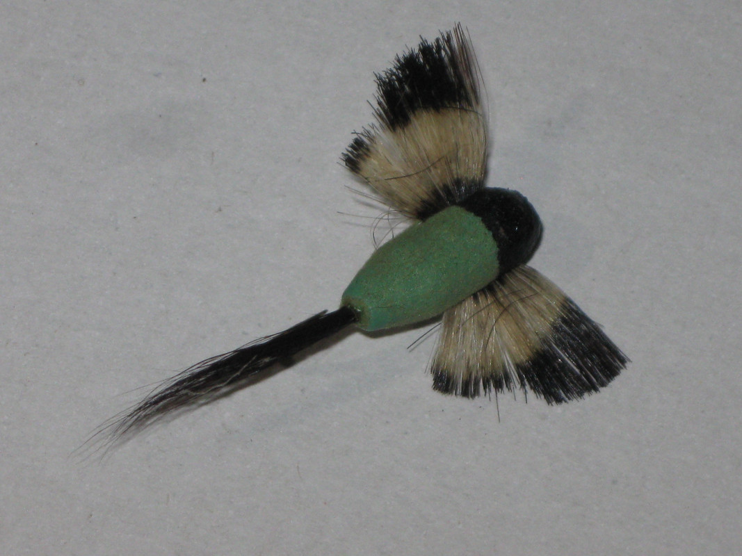 IMG 8983 — Postimages