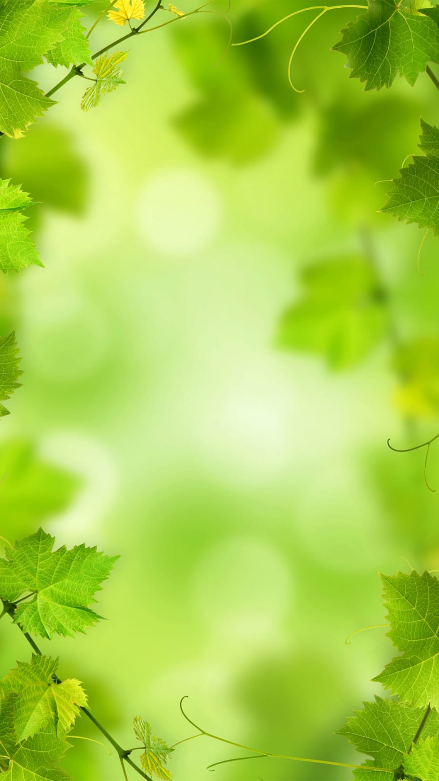 green background — Postimages