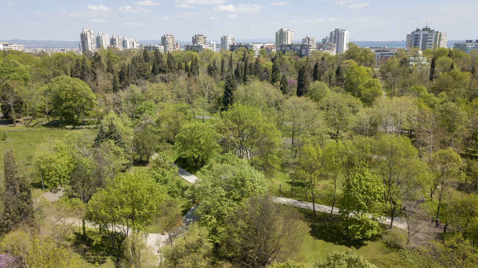 Document DR 217 — Postimages