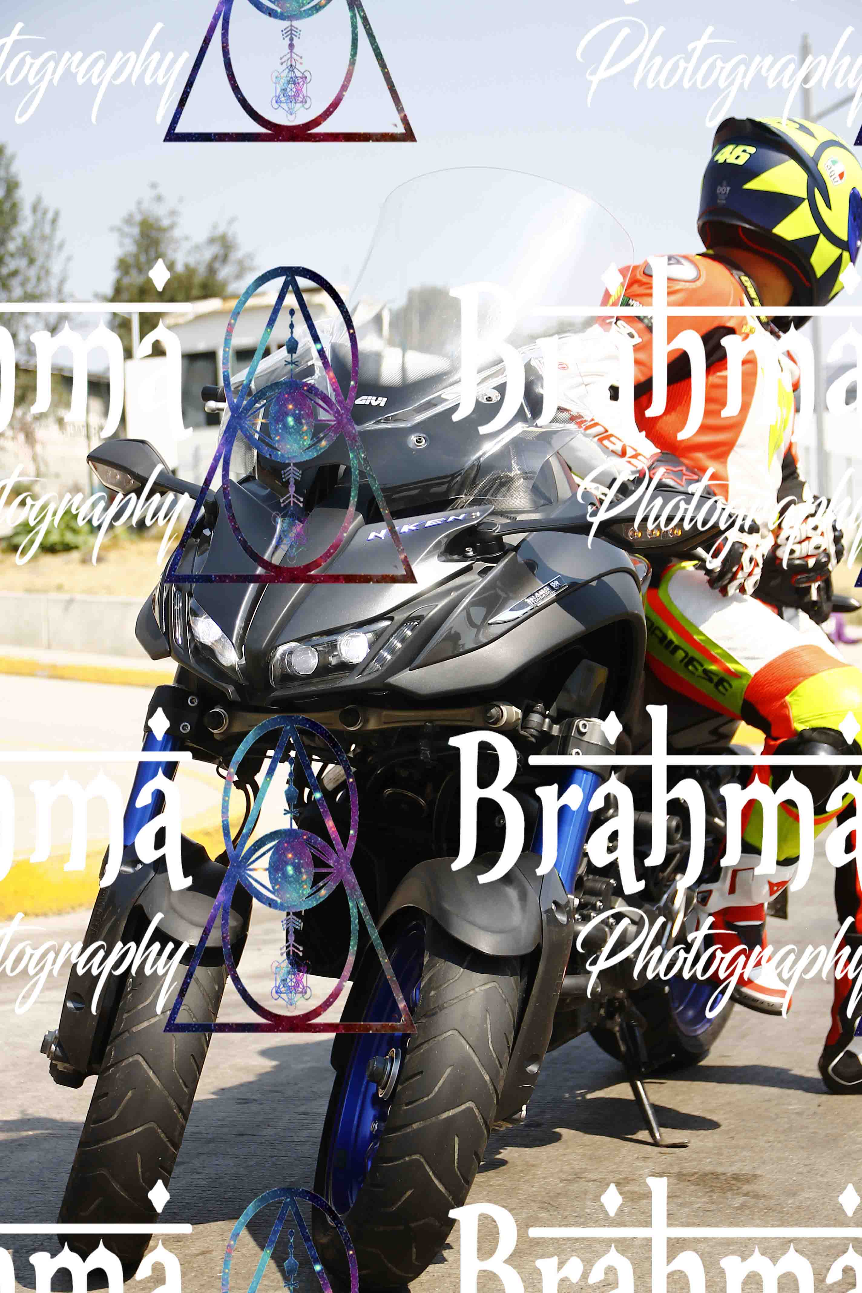 MG 1337 — Postimages