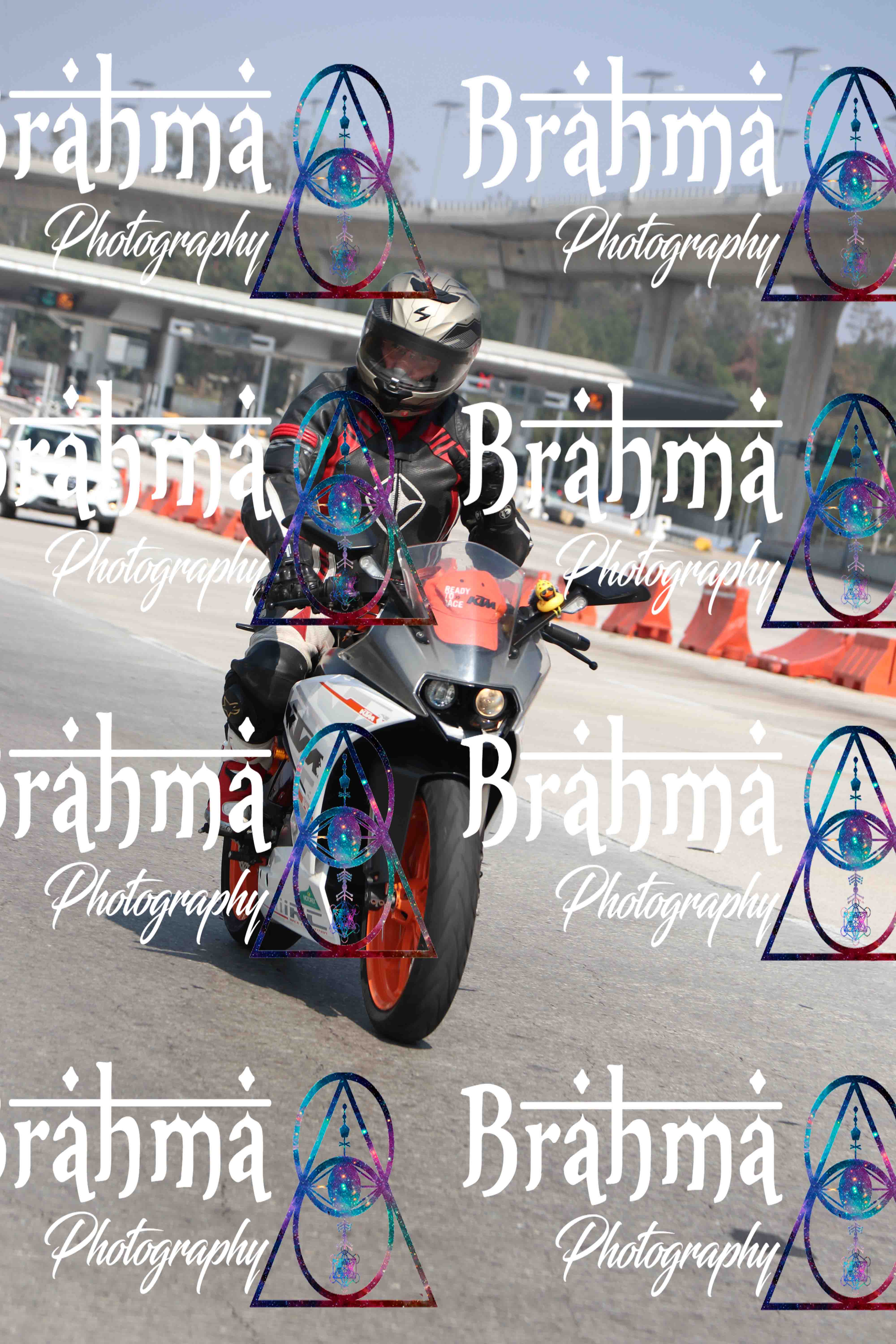 IMG 8445 — Postimages