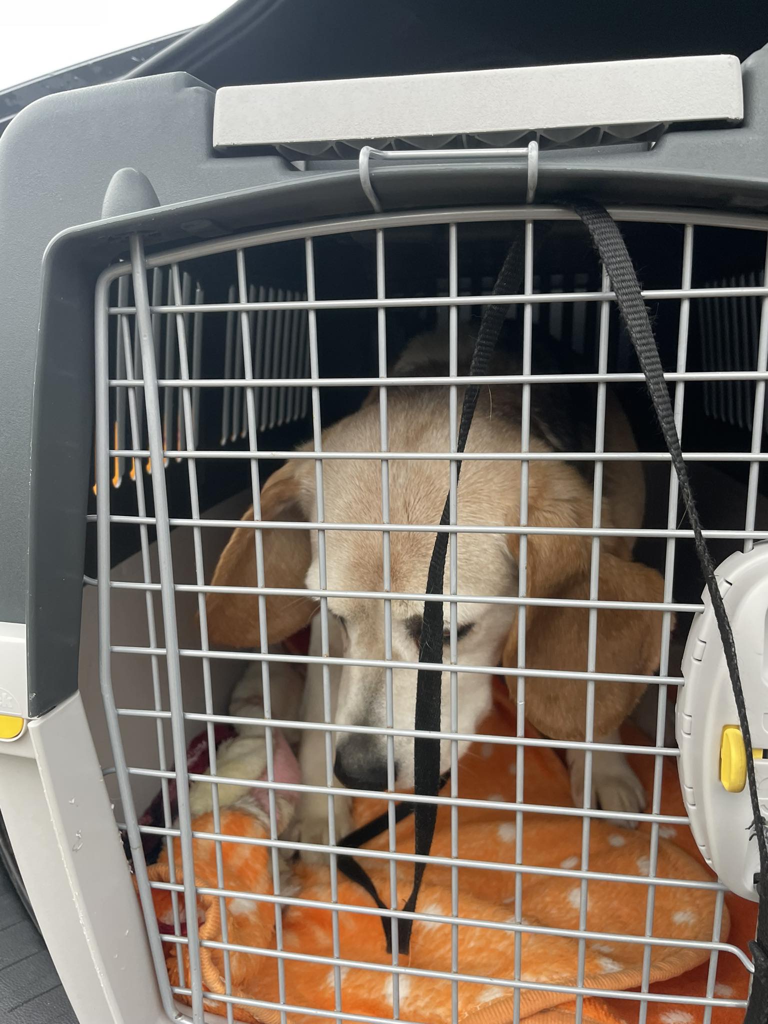 Emma 5 — Postimages