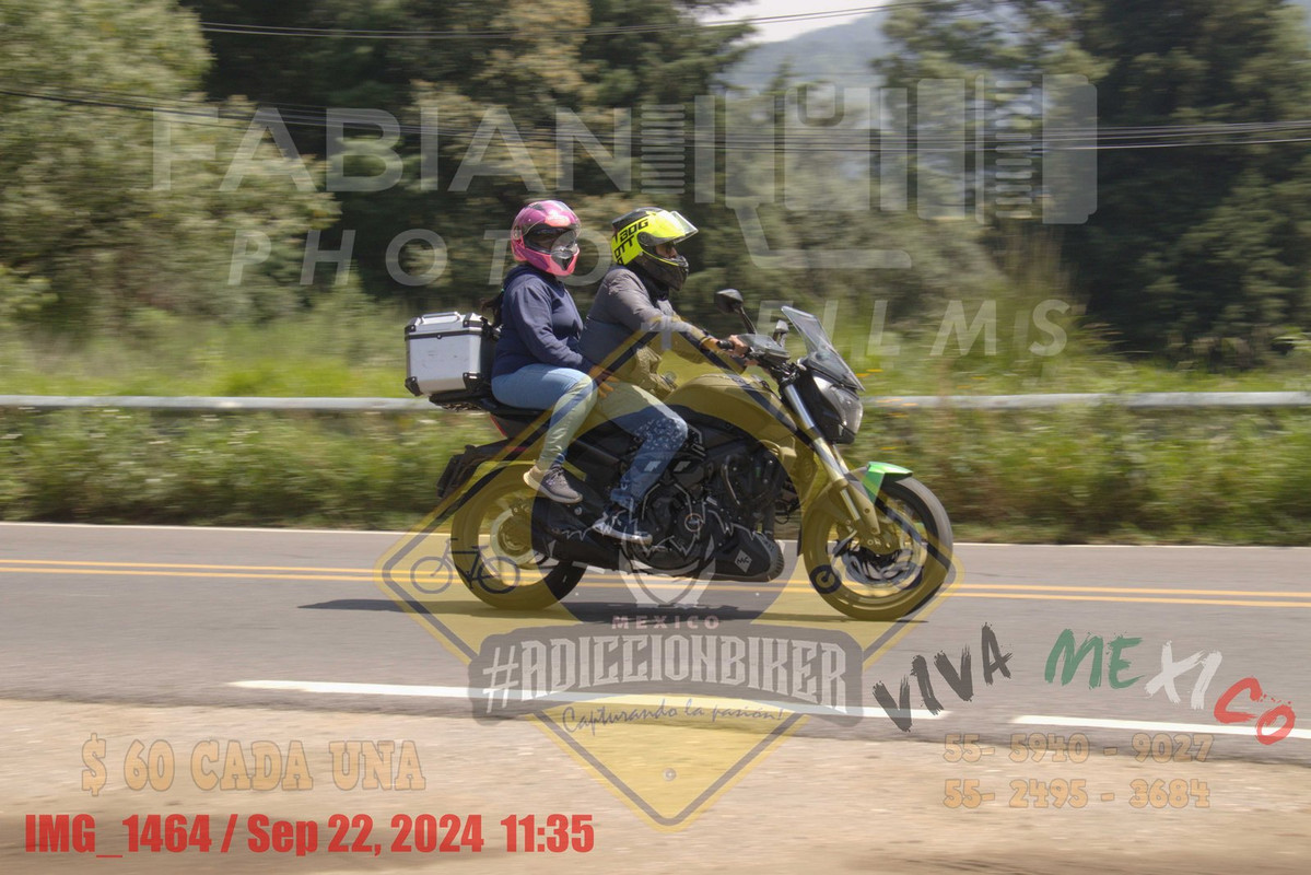 IMG 1464 — Postimages