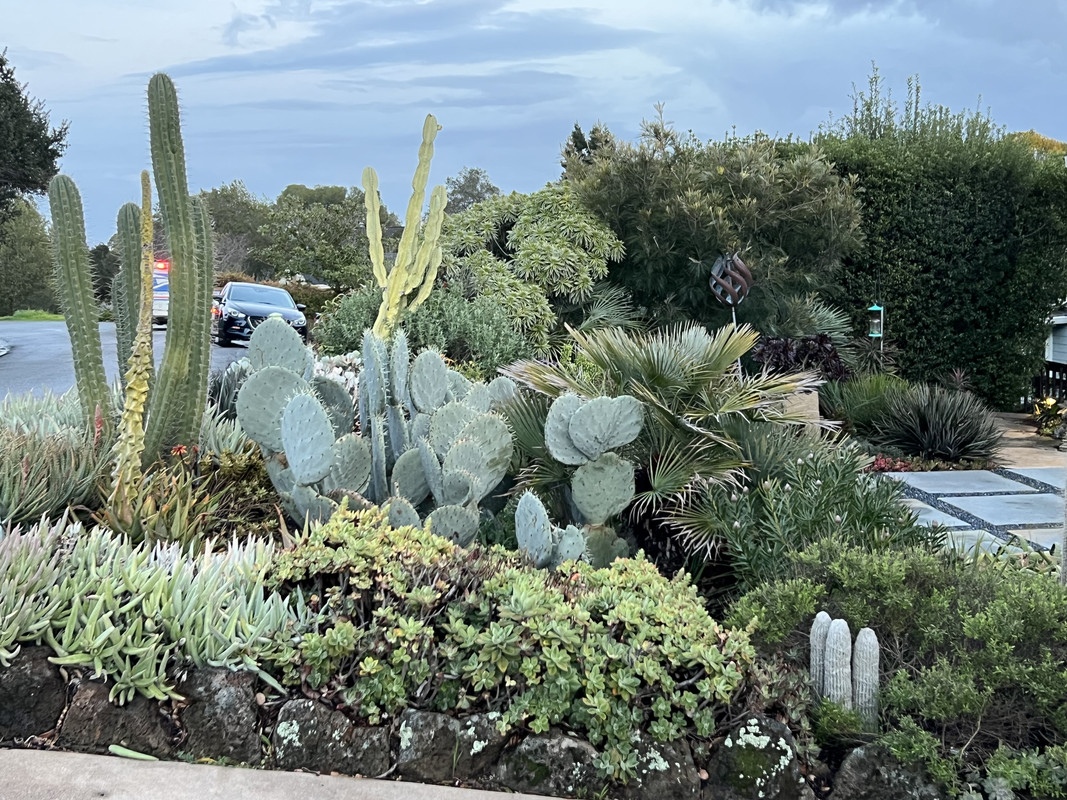 D3 D32 DA2 813 F 4 FC7 B8 A2 3 BA4 A25 F391 B — Postimages