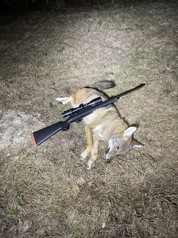 IMG 0345 — Postimages