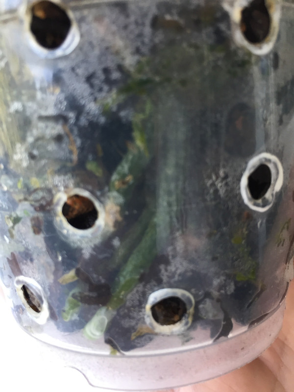 IMG 4693 — Postimages