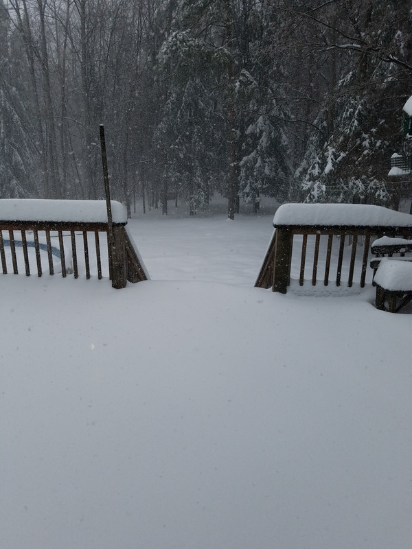 20200207 121220 — Postimages