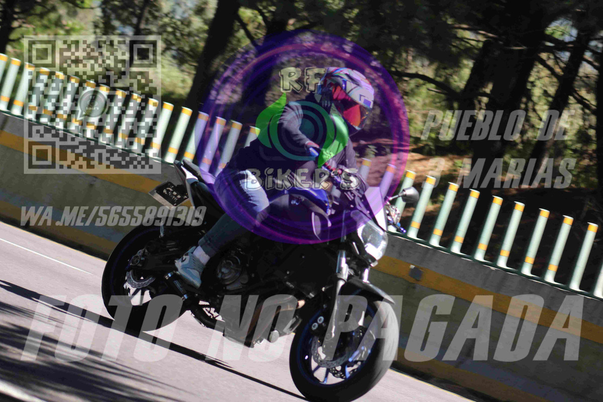 batch IMG 1295 — Postimages