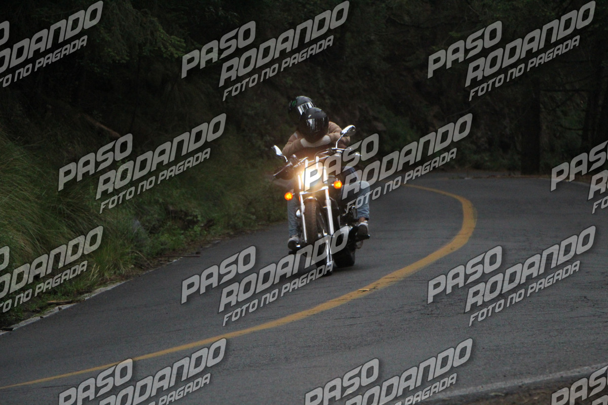 IMG 9336 wm 118151 watermarked — Postimages