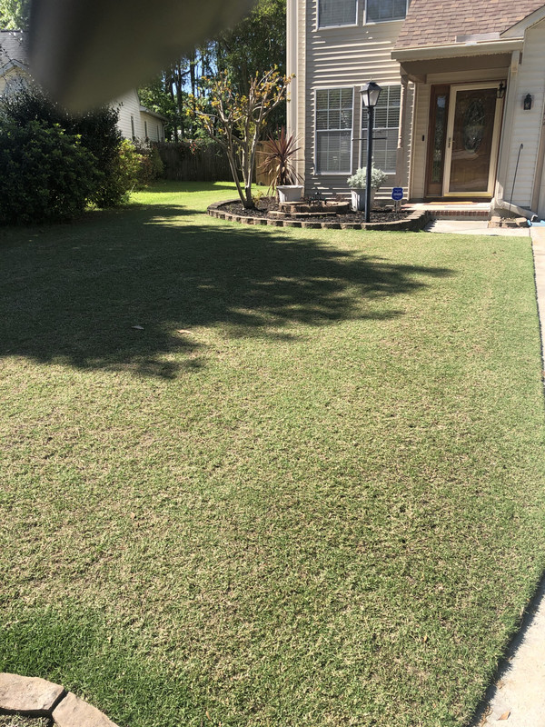 D6950 BE0 B062 4 D63 B5 EE 98769 AEDAA83 — Postimages