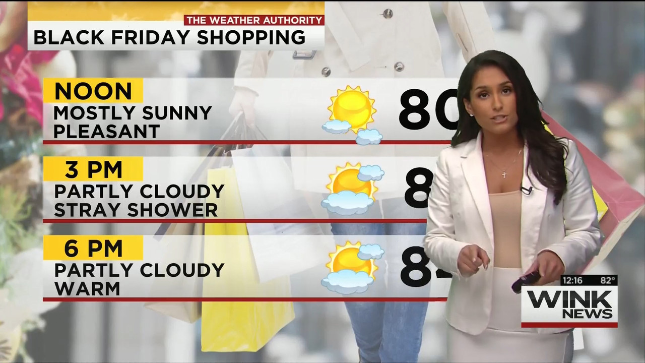 11 27 17 00 00 WINK Noon News ts snapshot 22 53 433 — Postimages