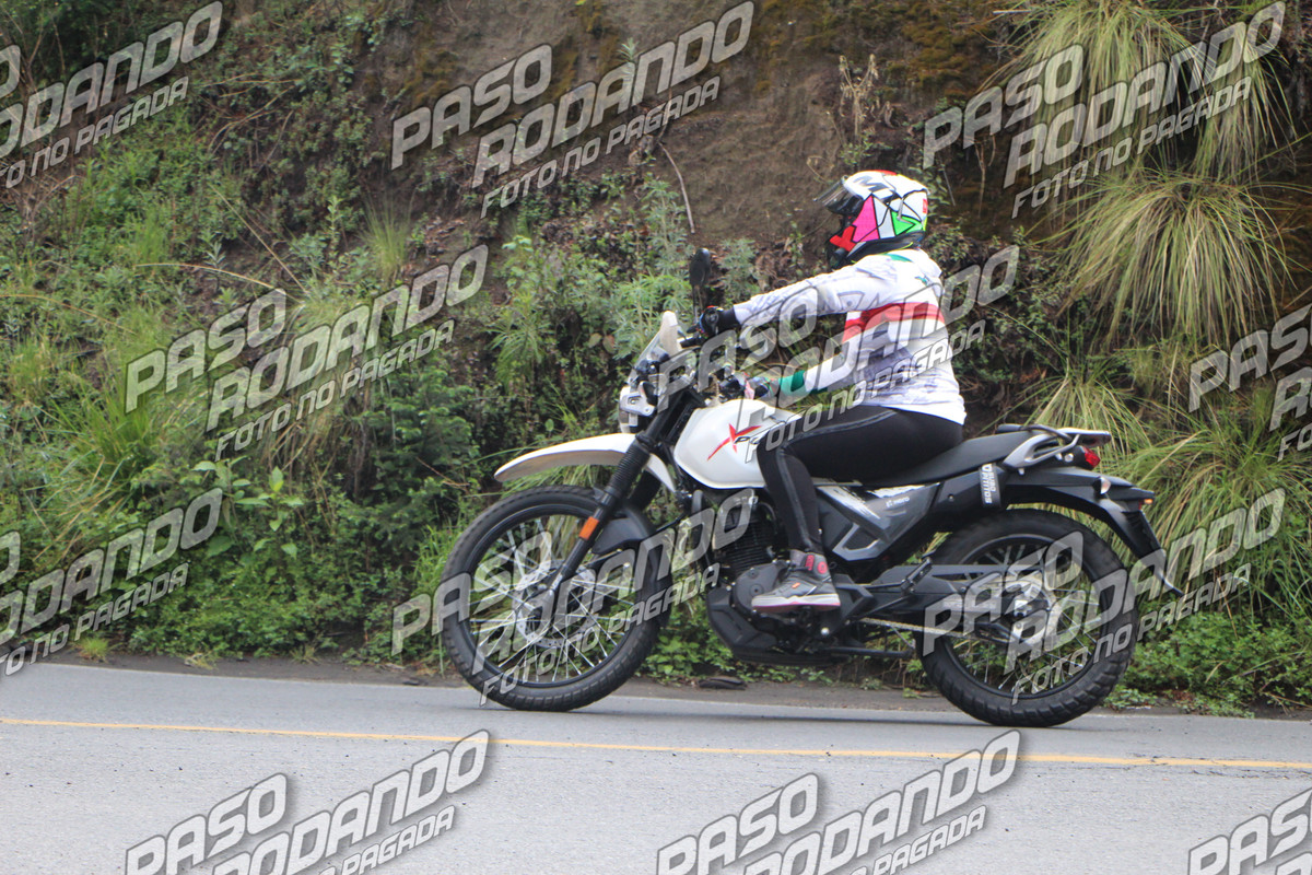 IMG 7656 wm 215615 30000000005 watermarked — Postimages