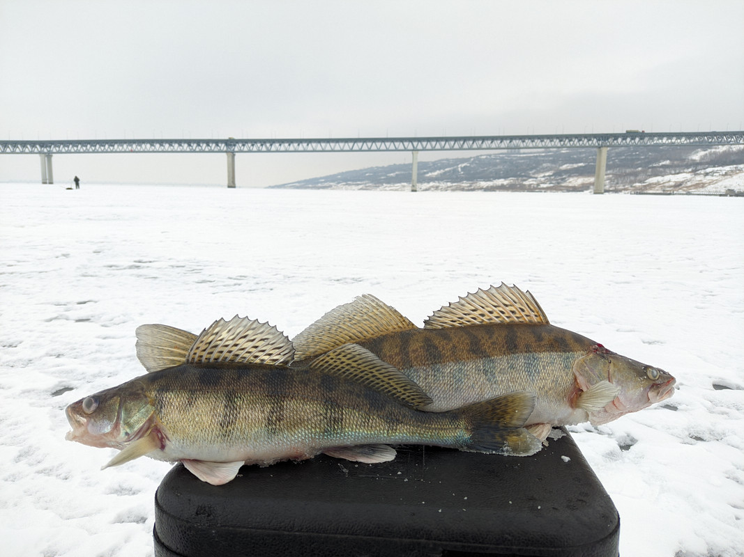 IMG 20230128 125839 8 4 300 — Postimages