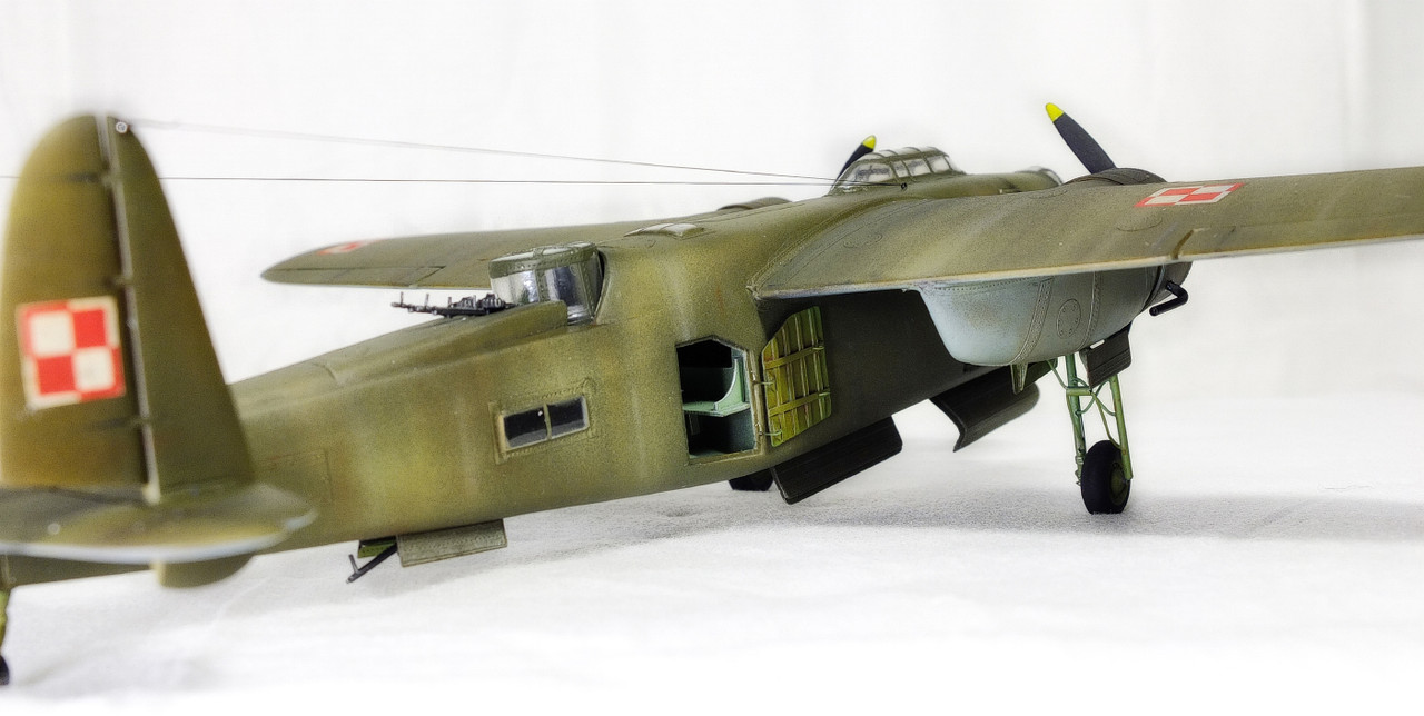 LWS-6 ZUBR - Ready for Inspection - Aircraft - Britmodeller.com