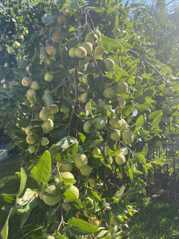 IMG 3871 — Postimages