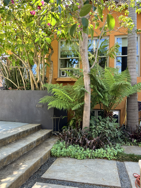 IMG 7398 — Postimages