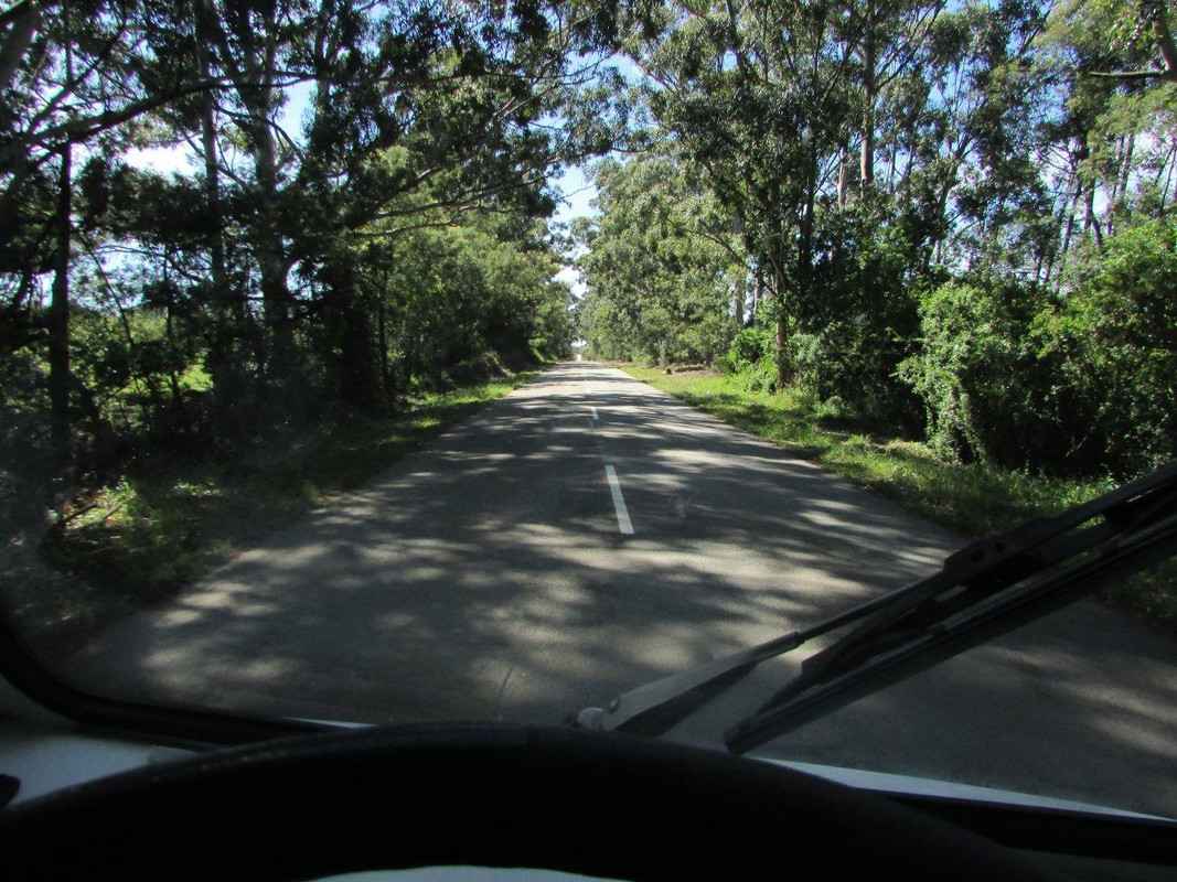 Tear drop repair trip (5) — Postimages